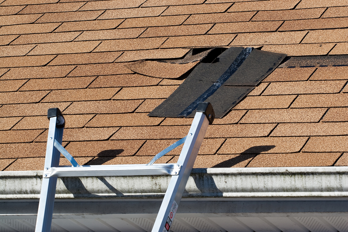 7 Signs That Your Roof Has Storm Damage | Dave's Roofing
